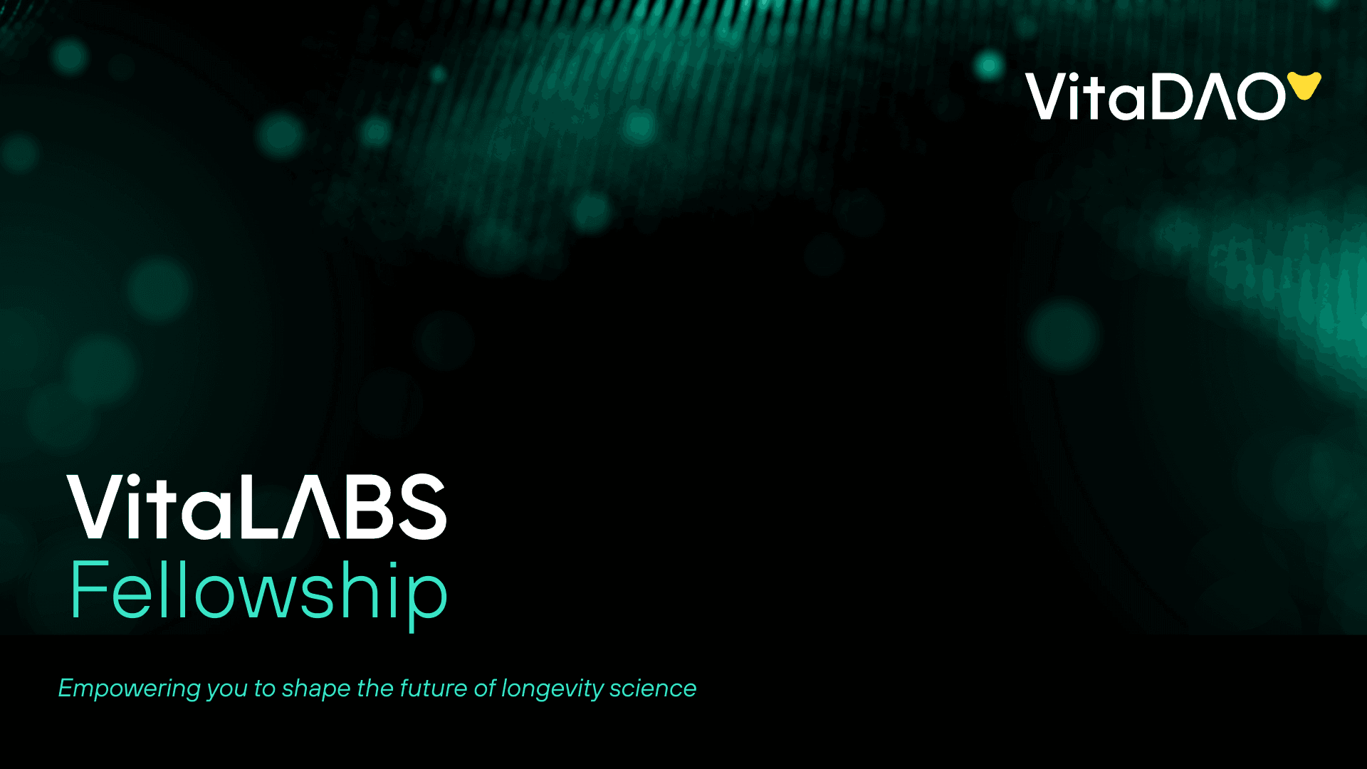 Announcing the VitaLabs Fellowship Program! | VitaDAO