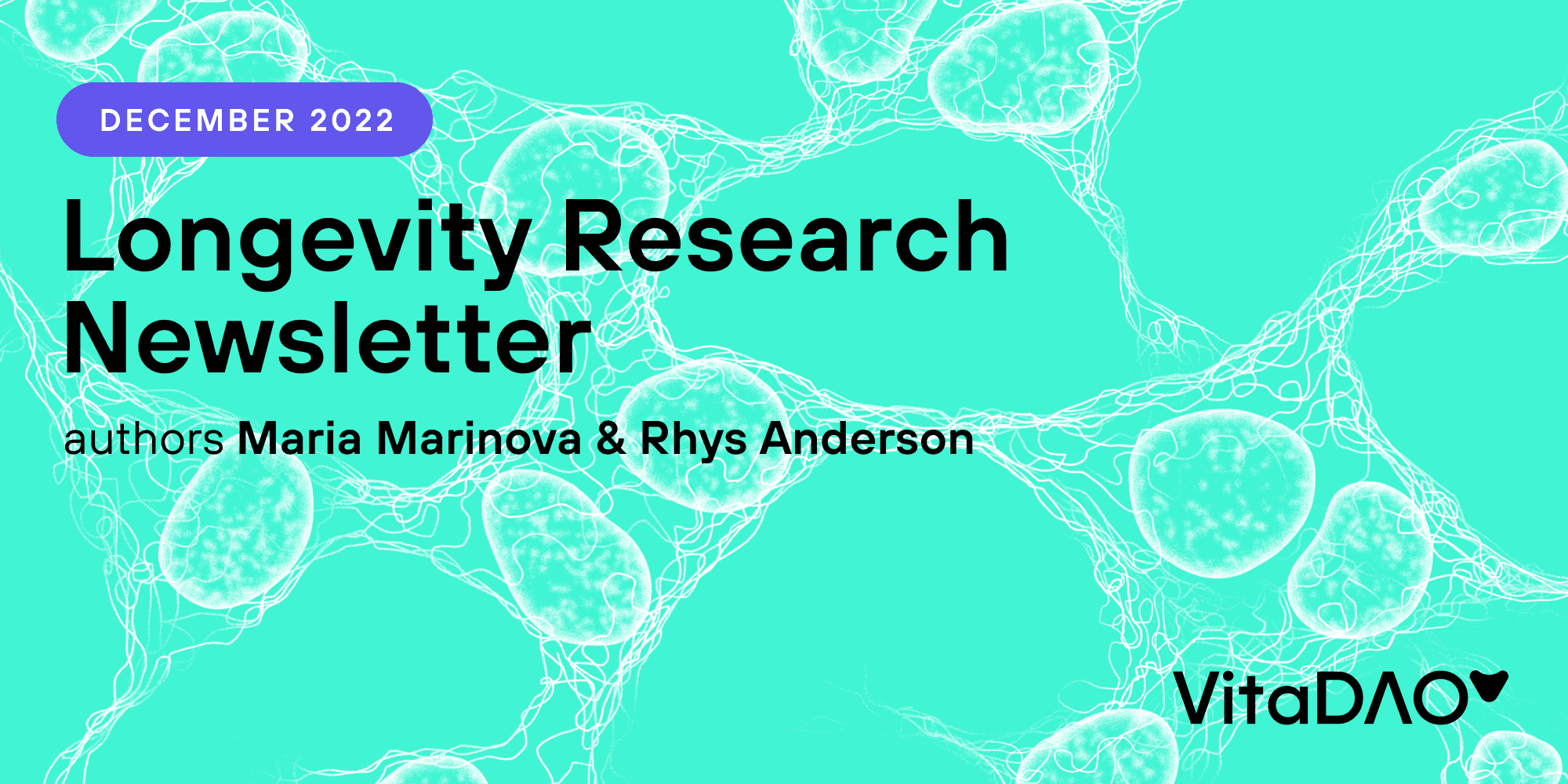 December Longevity Research Newsletter | VitaDAO