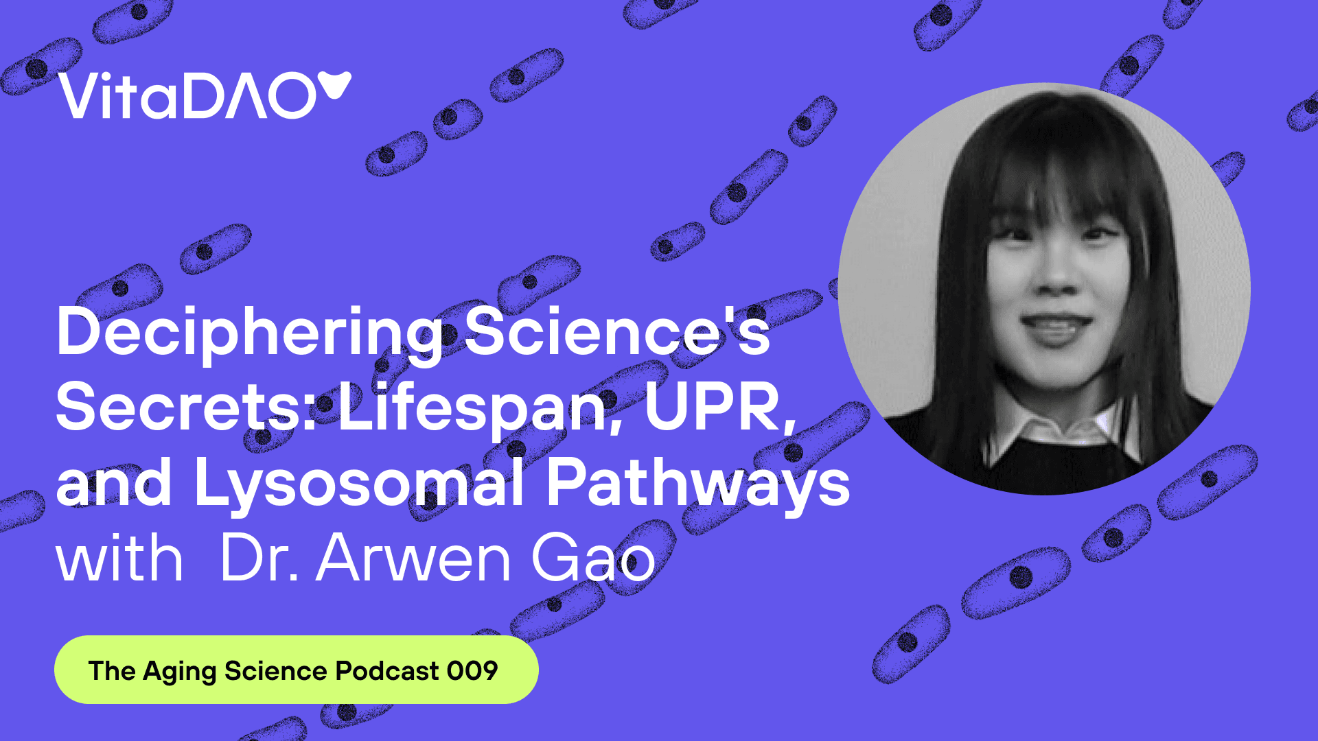 Deciphering Science's Secrets: Lifespan, UPR, and Lysosomal ...