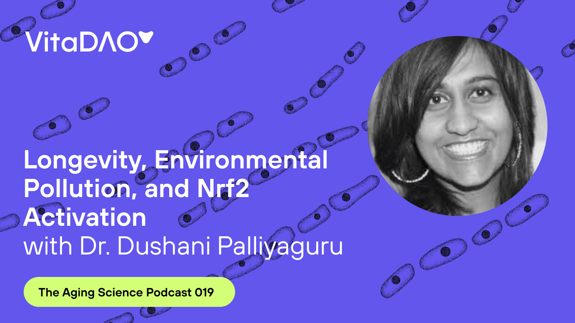 Longevity, Environmental Pollution, and Nrf2 Activation with Dr ...