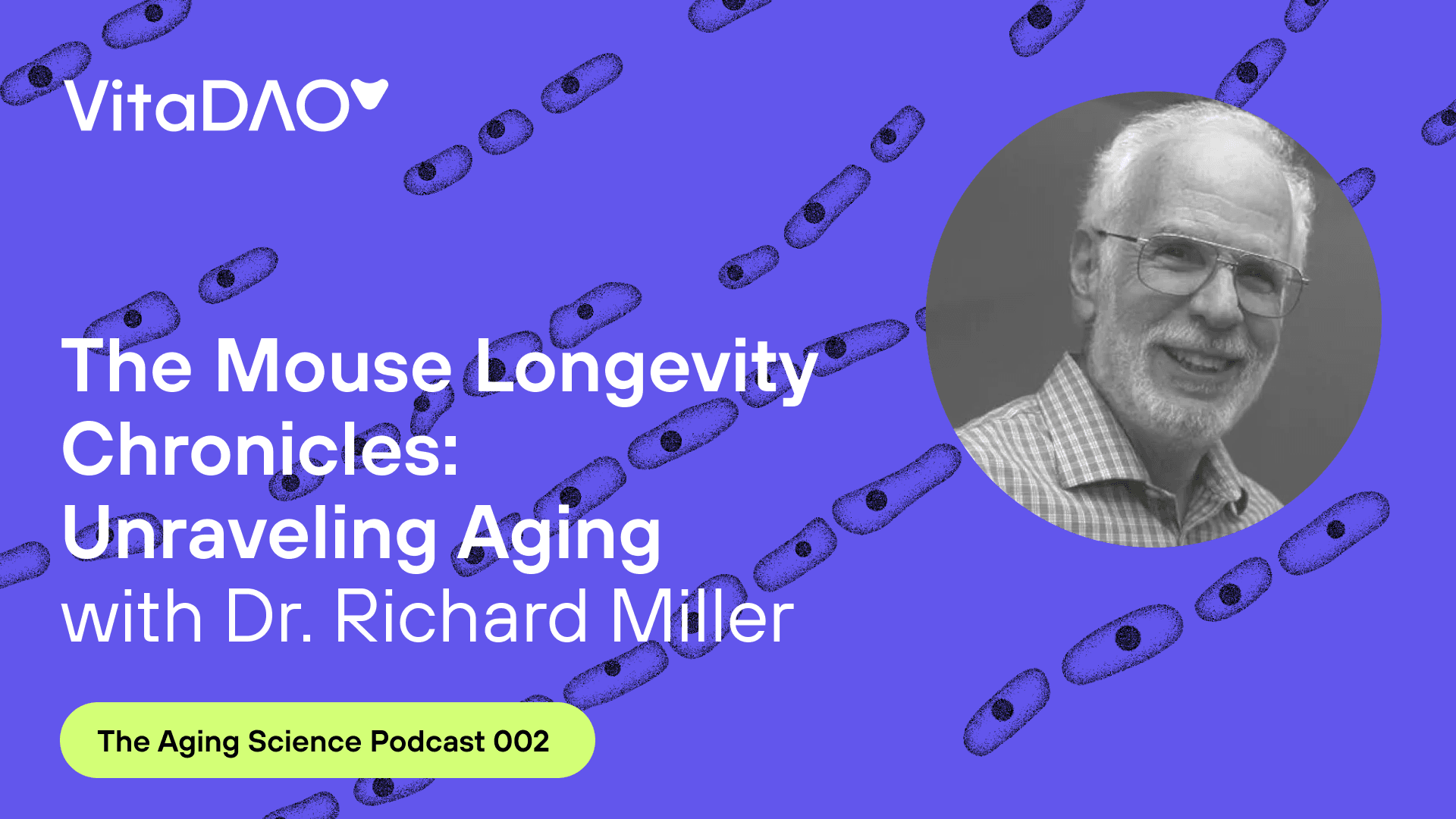 The Mouse Longevity Chronicles: Unraveling Aging with Dr. Richard ...